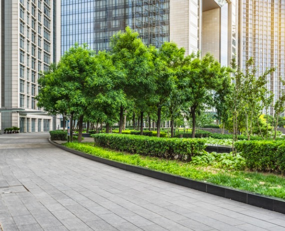 Commercial Landscape Design in Chattanooga | Austin Engineering