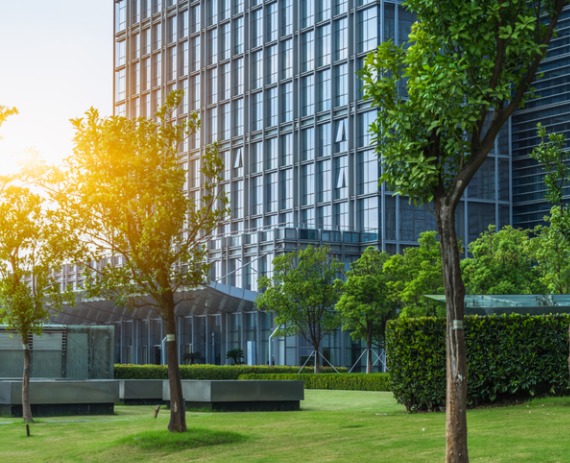 Attention Grabbing Commercial Landscape Design in Knoxville TN